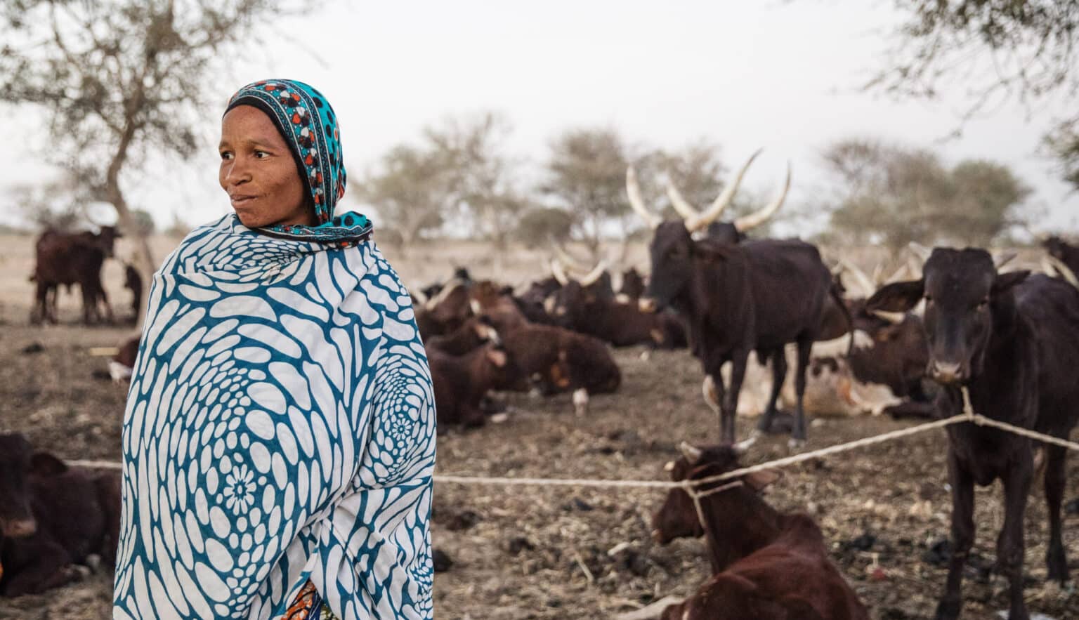 Au Tchad, programme d’appui à la sécurité alimentaire, à la nutrition ...