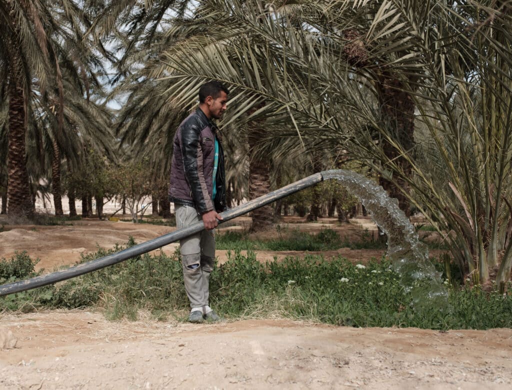 Renforcement associatif des petits paysans en Tunisie - CCFD-Terre ...