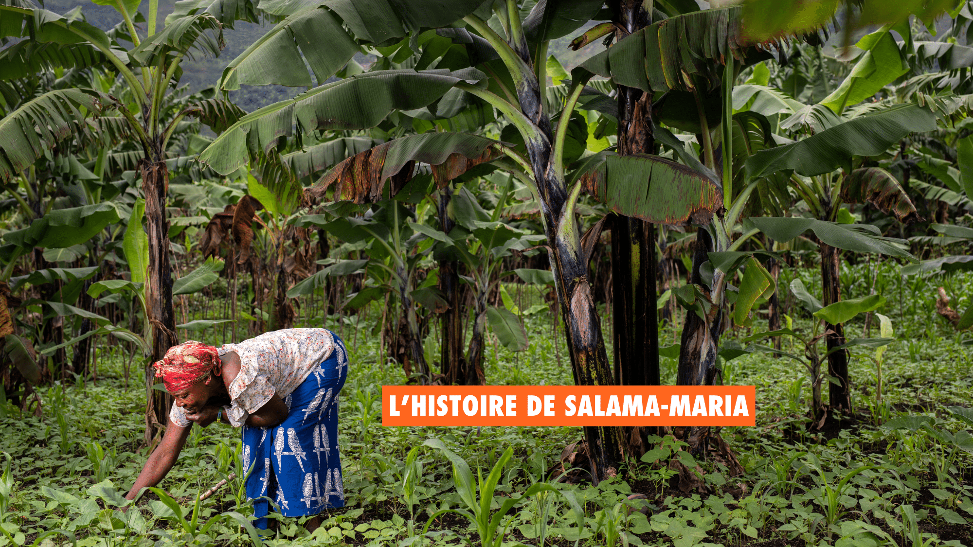 L'histoire de Salama Maria - CCFD-Terre Solidaire
