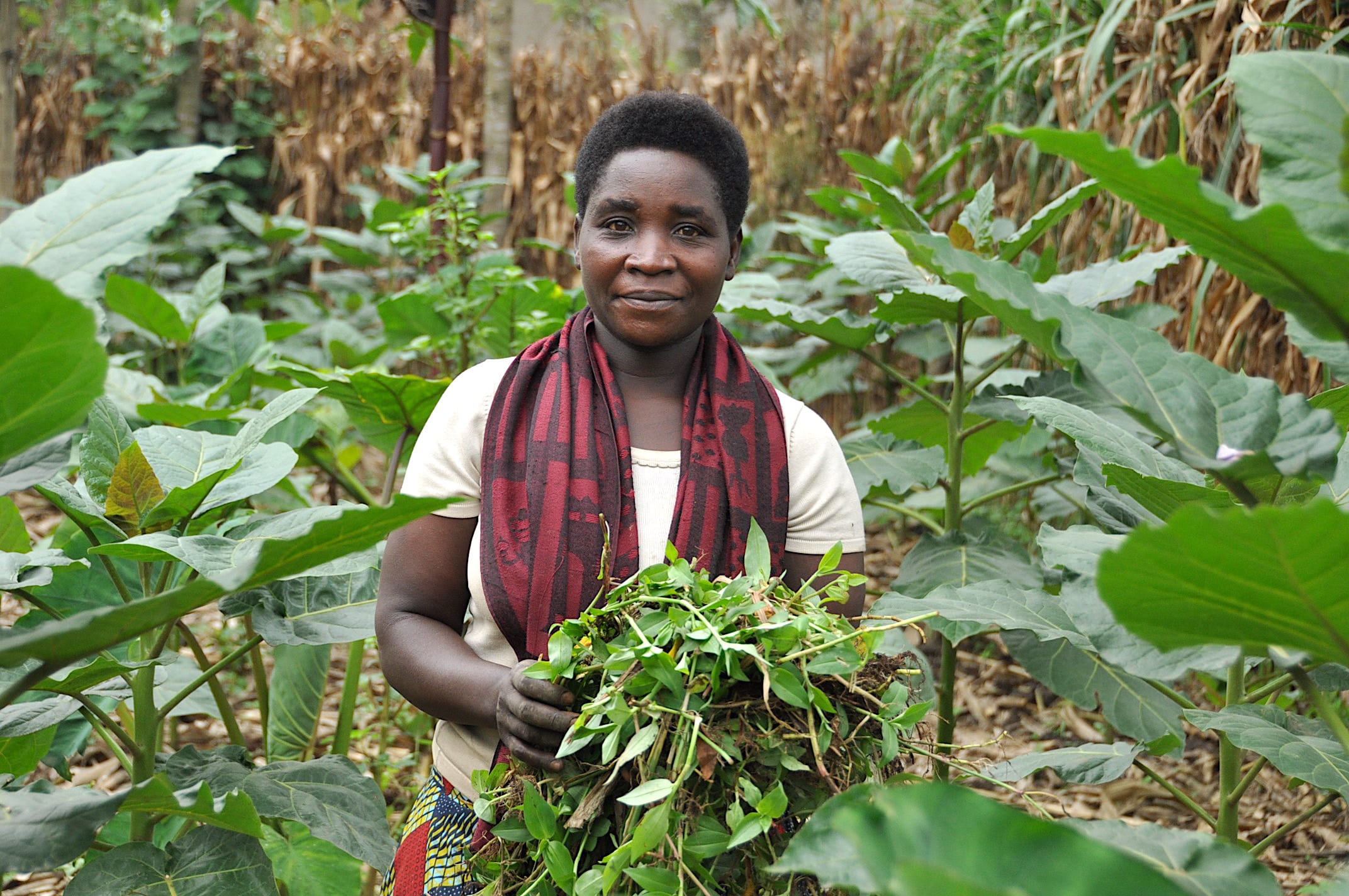 Au Rwanda, les femmes sèment l’avenir - CCFD-Terre Solidaire