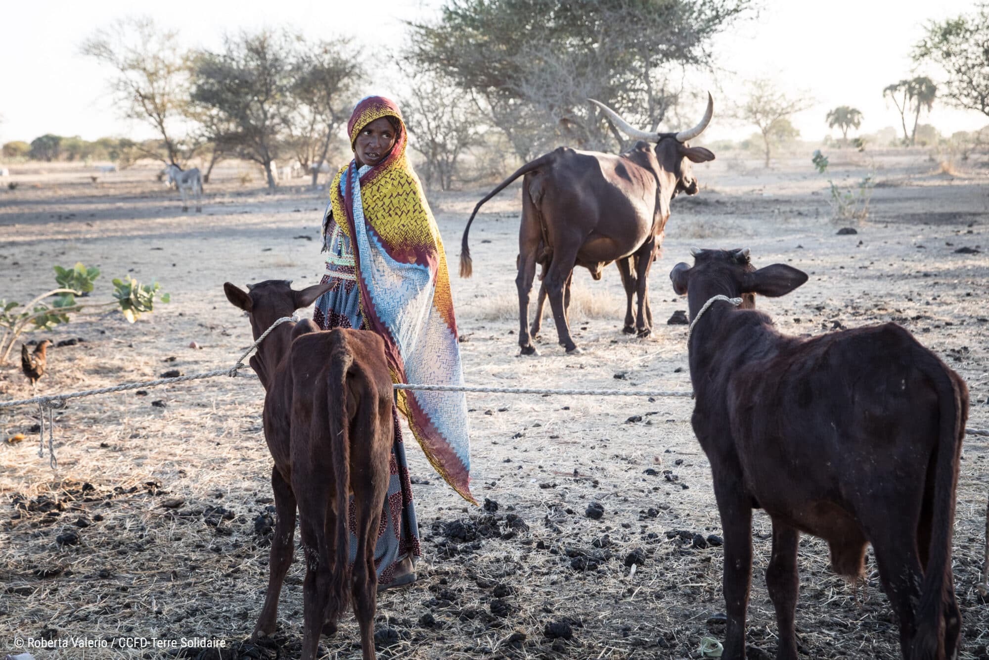 Carême 2026 : Un chemin de solidarité avec nos partenaires - CCFD-Terre ...